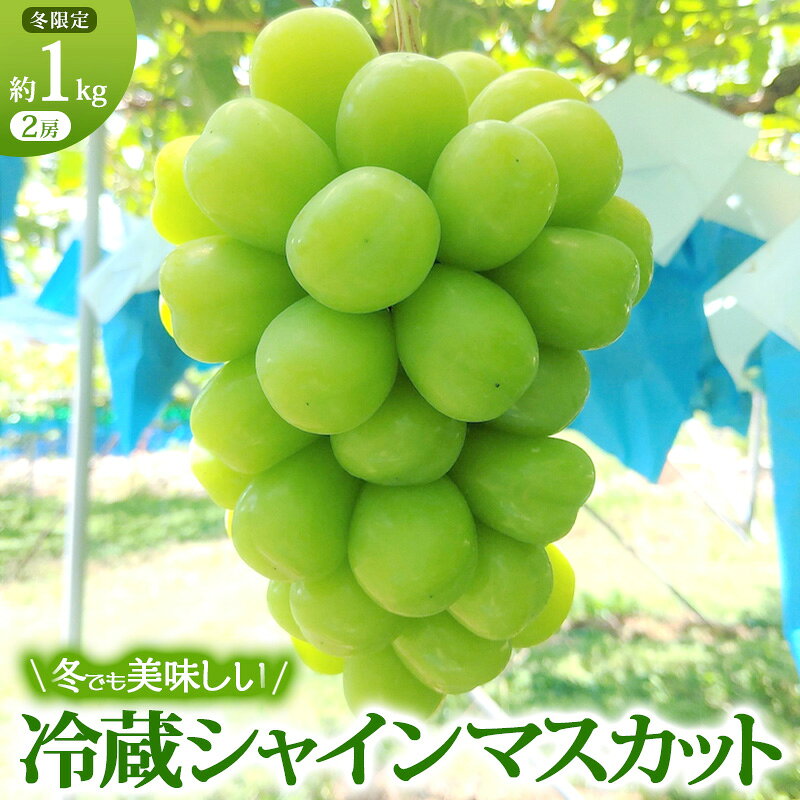 名称シャインマスカット内容量冬限定　特殊冷蔵シャインマスカット　約1kg（2房）産地長野県産事業者富山葡萄園配送方法冷蔵配送お届け時期2026年11月中旬～2026年12月下旬備考※画像はイメージです。 ※沖縄・離島への配送はできません。 ...
