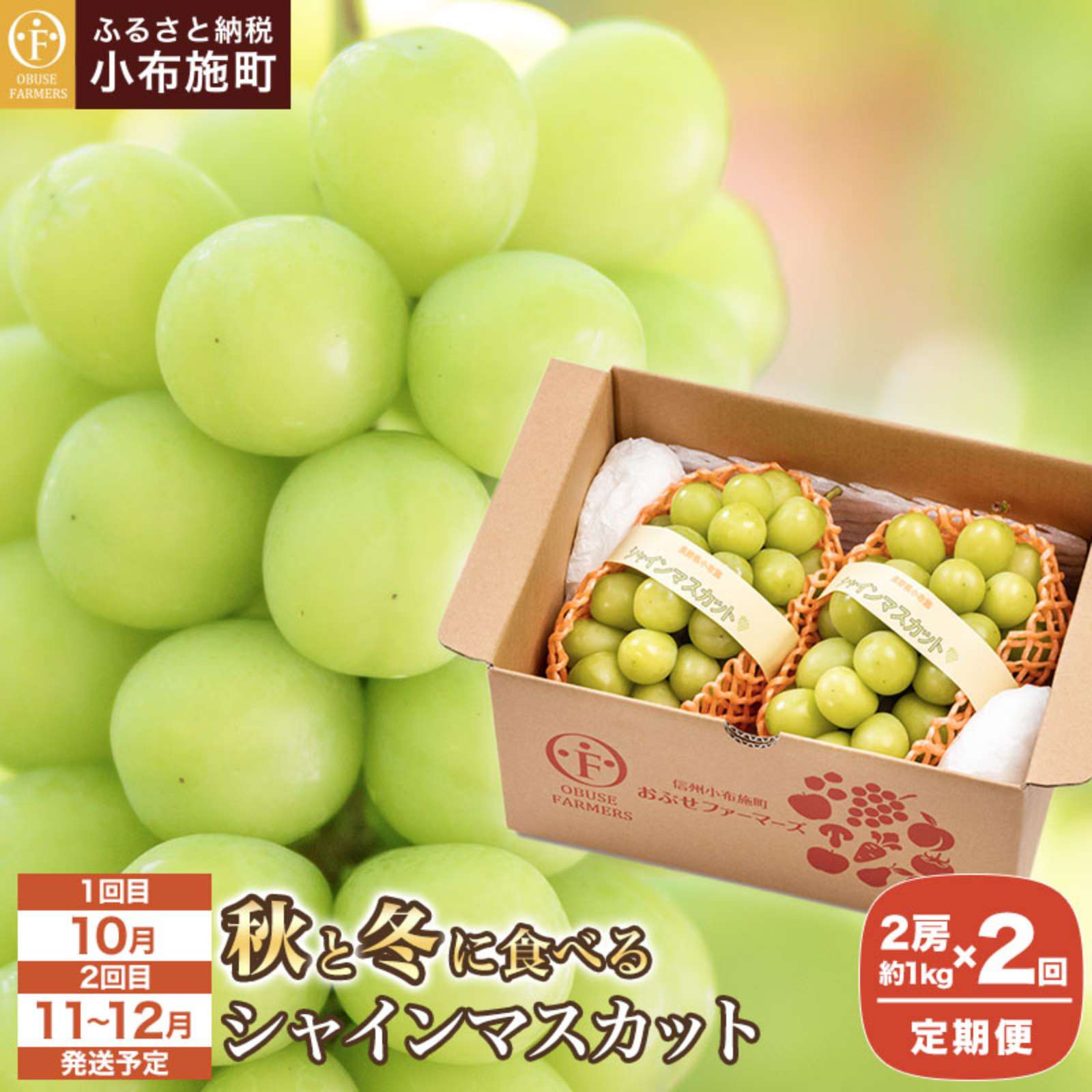 シャインマスカットが大好きだけど一度にたくさん食べられないし、冷蔵庫にも入らない。。。 そんな方におススメ！ 秋と冬にシャインマスカットを2回お届けするお得な定期便です。 秋に食べる採れたてで新鮮なシャインマスカットと、冷蔵貯蔵し余計な水分...