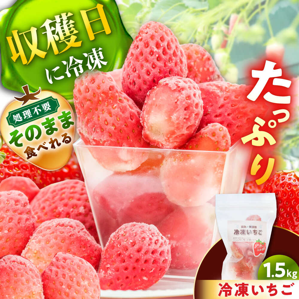 ヘタとり済みの1.5キロ入りなので、お得にたっぷり楽しめます。 岐阜県恵那山麓、地下40mの井戸水を汲み上げ、ストレスフリーに育てられた完熟いちご！ 収穫したものをすぐ冷凍するため、新鮮なおいしさがぎゅっと詰まっています。 贅沢にたっぷりと...