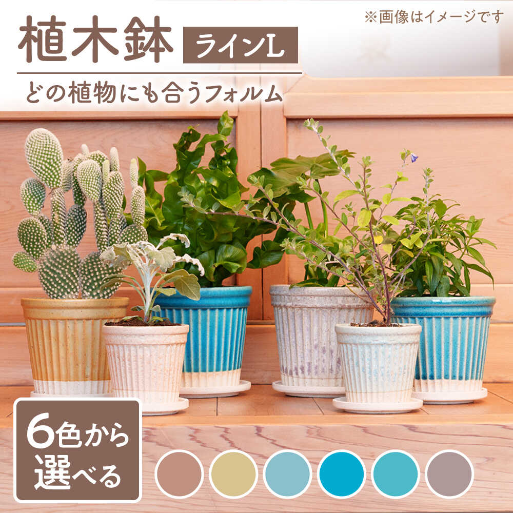 ラスターカラーの上品な光沢が魅力の植木鉢。 無駄を削ぎ落としたシンプルなフォルムは、どんな植物とも調和し、インテリアに自然と溶け込みます。 ナチュラルからモダンまで、幅広いテイストにマッチする今どきのデザインで、植物の美しさを引き立てます。...