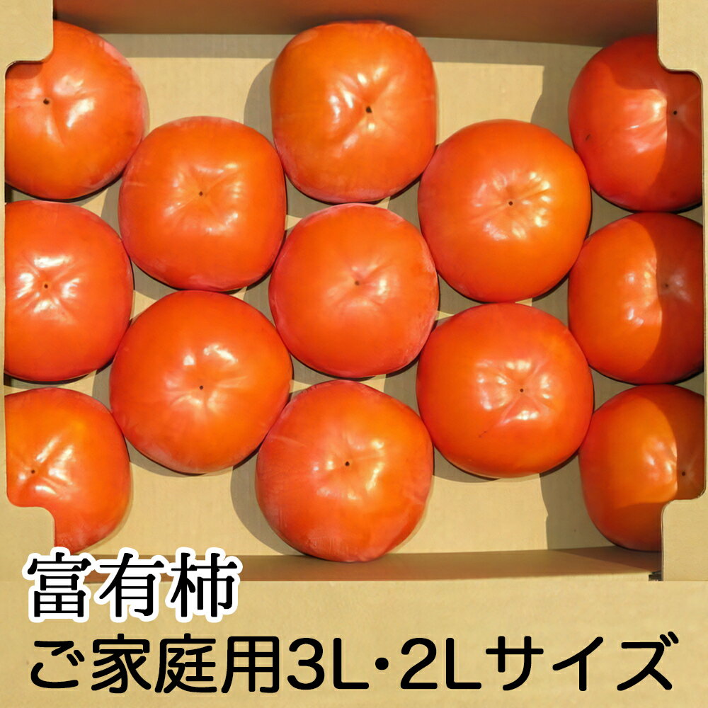 [柿の王様] 大野農園の富有柿ご家庭用3L・2Lサイズ (4kg) [0631]| ふるさと納税バイブル