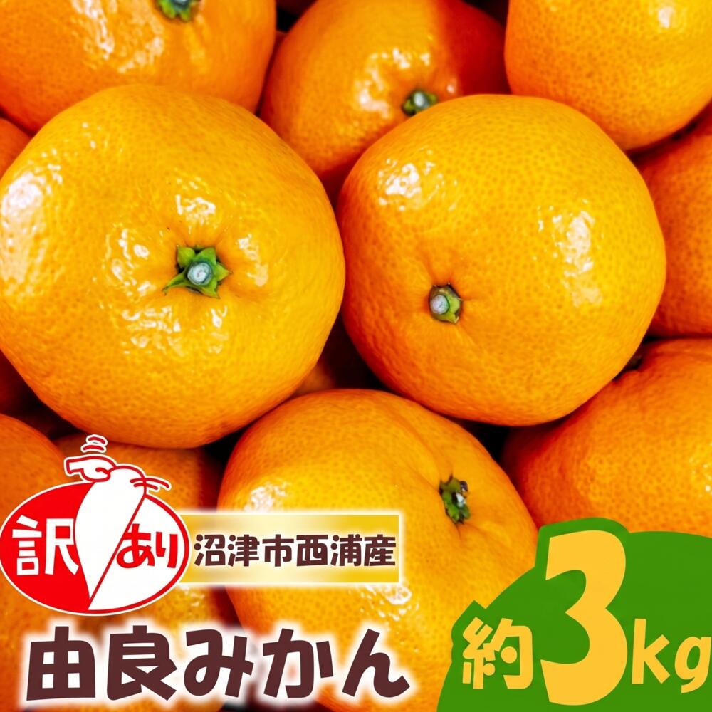 返礼品説明 ■名称 【ふるさと納税】訳あり 由良 みかん 約3kg 柑橘 西浦 ■内容量 訳あり 由良みかん 約3kg ■返礼品説明 【予約受付中】 2026年10月中旬から順次発送予定です！ 日本一の富士山を仰ぎ、駿河湾の潮風を受けて育っ...