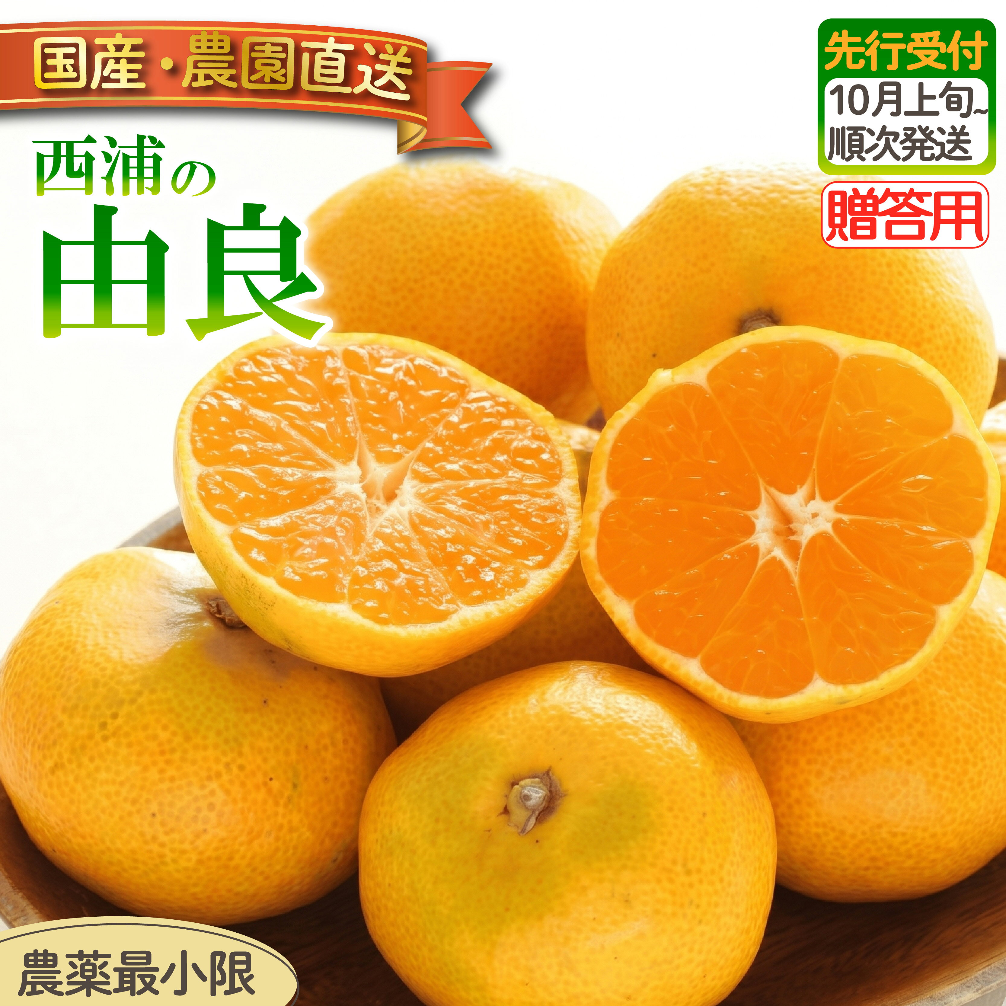 商品説明 内容量選べる容量 贈答用 由良みかん ■3kg ■5kg 消費期限到着から1～2週間程度 ※青果ですのでお早めにお召し上がりください 【保存方法】常温 届きましたら、箱から出して常温で風通しの良い冷暗所で保存してください。 配送区...