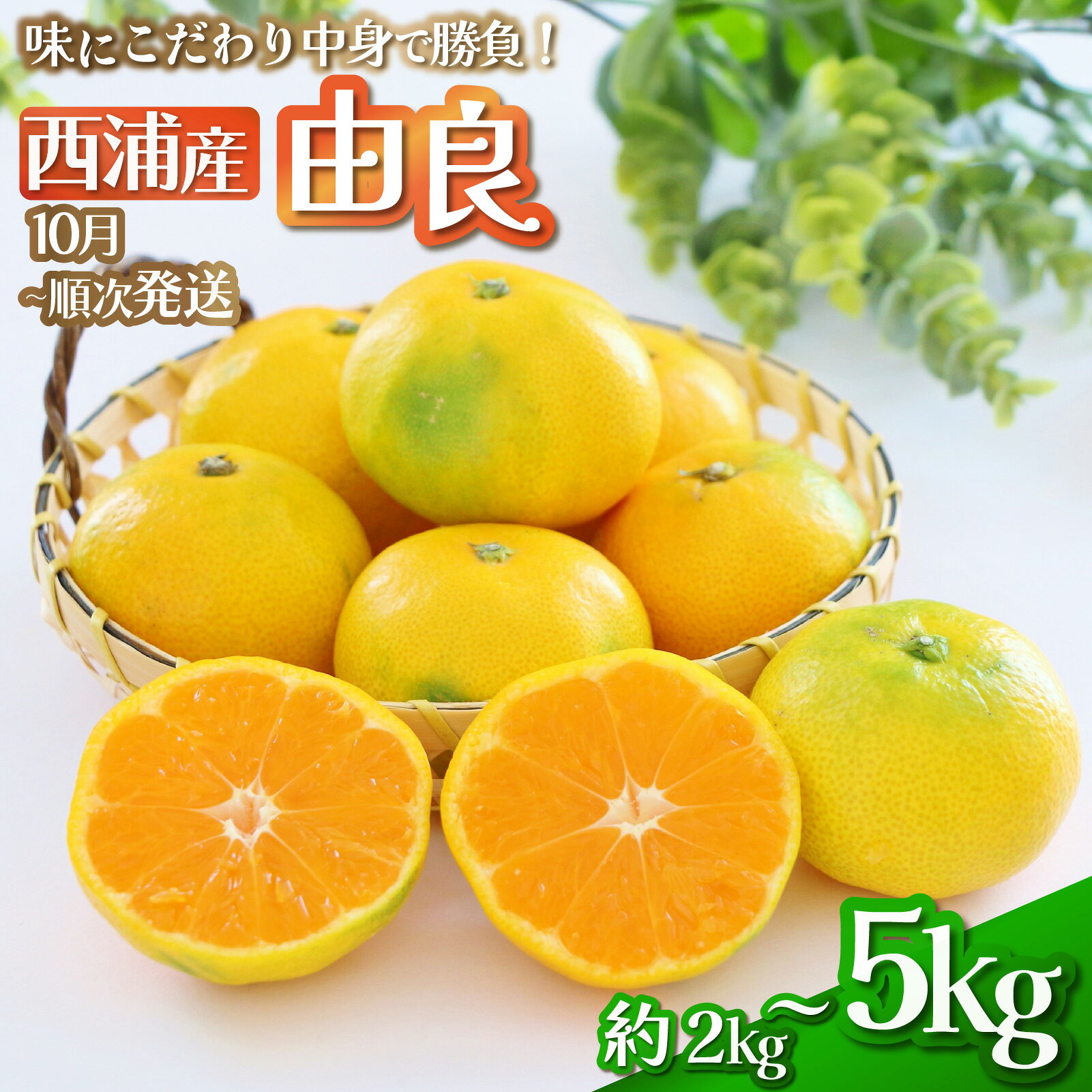商品説明内容量由良みかん 選べる約2kg～5kg※サイズが混合しております。※サイズはお選びいただけません。消費期限お届けより5日程度※なるべく早めにお召し上がりください。 【保存方法】常温届きましたら、箱から出して常温で風通しの良い冷暗所...