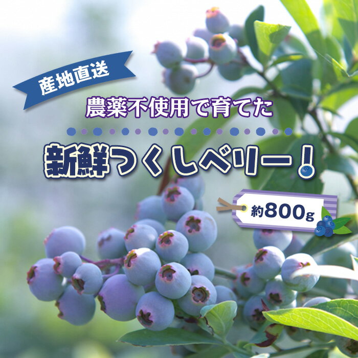 ※返礼品についてなるべく早めの発送を心がけておりますが、入金を確認してから発送までに1ヵ月以上お時間いただく場合がございます。配送日時指定のご希望や事前連絡等の対応はいたしかねますので予めご了承の程宜しくお願い致します。※返礼品の送付は、愛...