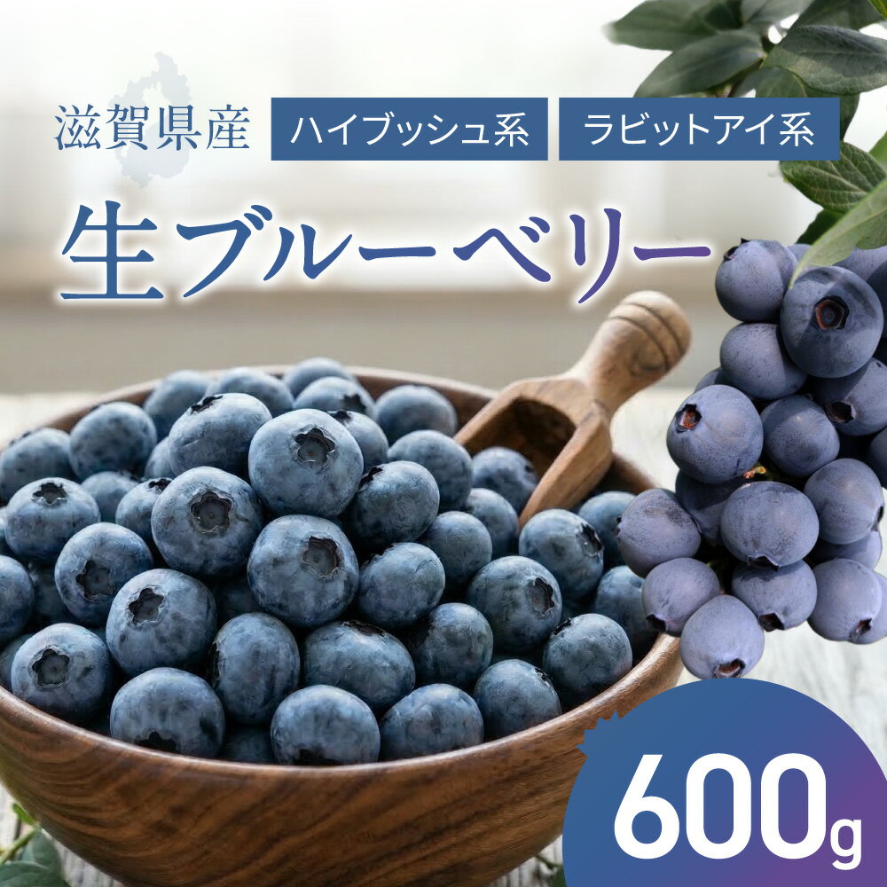 【地場産品類型】1号 当該地方団体の区域内において生産されたものであること。 滋賀県産ブルーベリー ハイブッシュ系・ラビットアイ系 商品詳細 名称 ブルーベリー 600g 内容量 600g 配送温度帯 冷蔵 提供事業者 コバヤシ化成 備考欄...