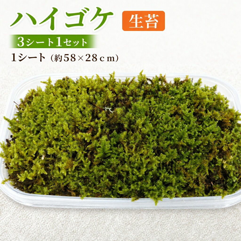 ・ふるさと納税よくある質問はこちら ・寄附申込みのキャンセル、返礼品の変更・返品はできません。あらかじめご了承ください。 ハイゴケ生苔を3シート1セットで提供します。 ハイゴケ生苔とは、ずばり成長したハイゴケそのものです。 お庭の緑化の他、...