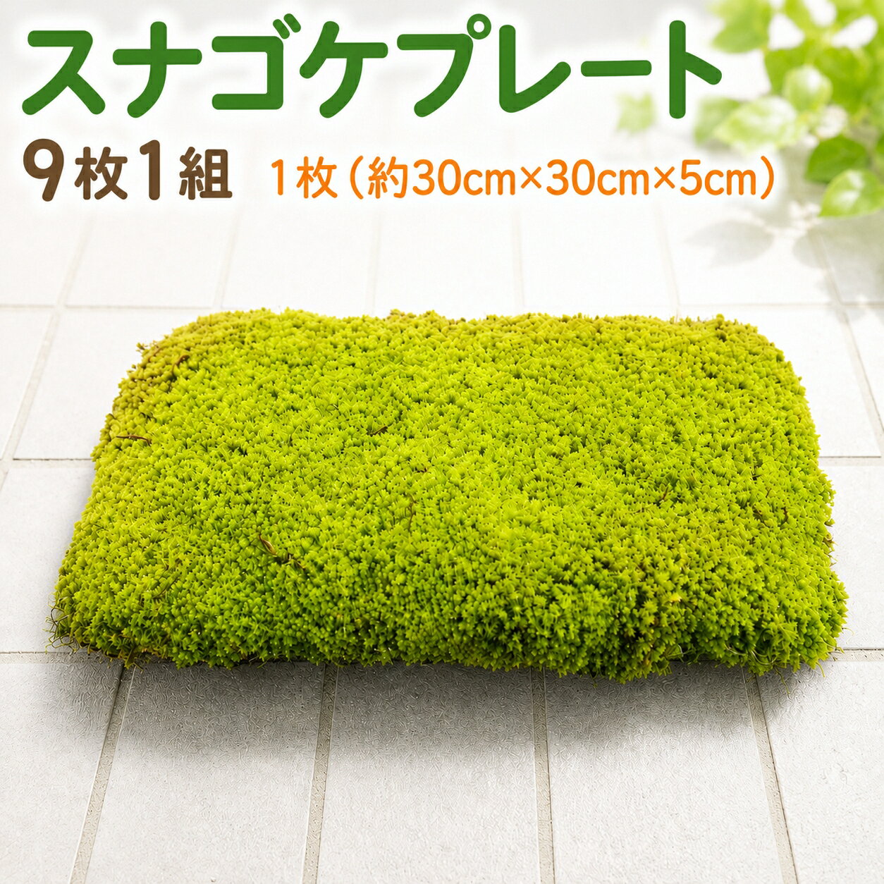 ・ふるさと納税よくある質問はこちら ・寄附申込みのキャンセル、返礼品の変更・返品はできません。あらかじめご了承ください。 スナゴケを発泡スチロールと一体化したプレートです。 スナゴケが育ちやすく、飛びにくい構造にしています。 用途：屋上、ベ...
