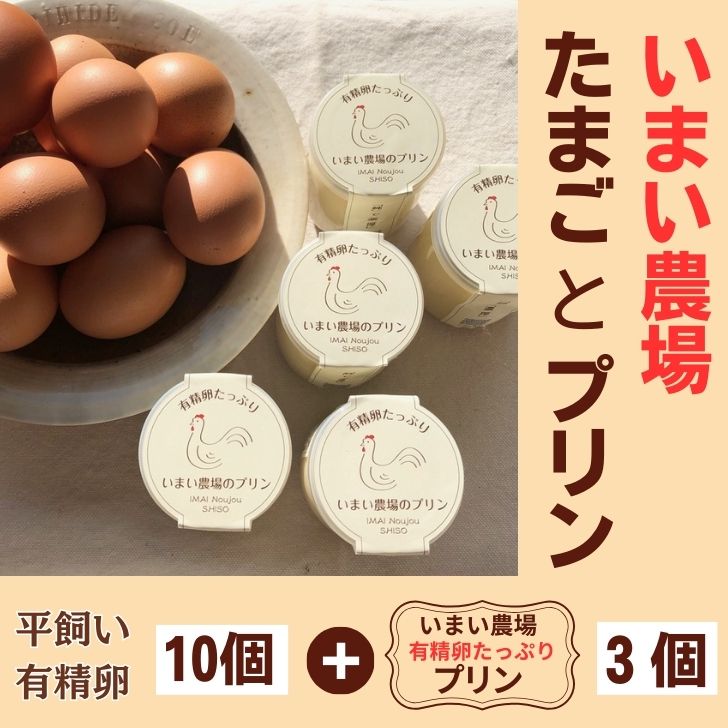 【ふるさと納税】平飼い 有精卵 10個 と プリン 3個　いまい農場　セット 国産 濃厚 卵 たまご 有精卵 デザート スイーツ スィーツ 贈り物 兵庫県 宍粟市 しそうし BQ2 農場で大切に育てた平飼い鶏の有精卵と有精卵をたっぷり使用し...