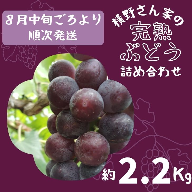 【ふるさと納税】約2.2Kg 横野さん家の「完熟ぶどう」の詰合せ 数量限定 ブドウ 葡萄 詰め合わせ セット 贈答 藤稔 紫玉 ピオーネ シャインマスカット ギフト 自宅用 BV2 【先行予約】生産者ご夫妻の愛情が育む「完熟ぶどう」一番美味...