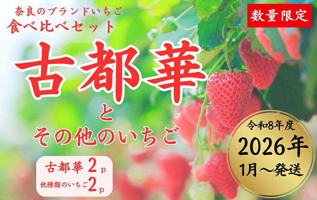 名称：奈良のブランドいちご2種（古都華と他1種）食べ比べセット×2セット 奈良の古都華2パック＋別品種2パックの合計4パック食べ比べセットです。 古都華・かおりの（←こちらは奈良ブランドいちごではありません・三重県開発いちご） 珠姫・奈乃華...