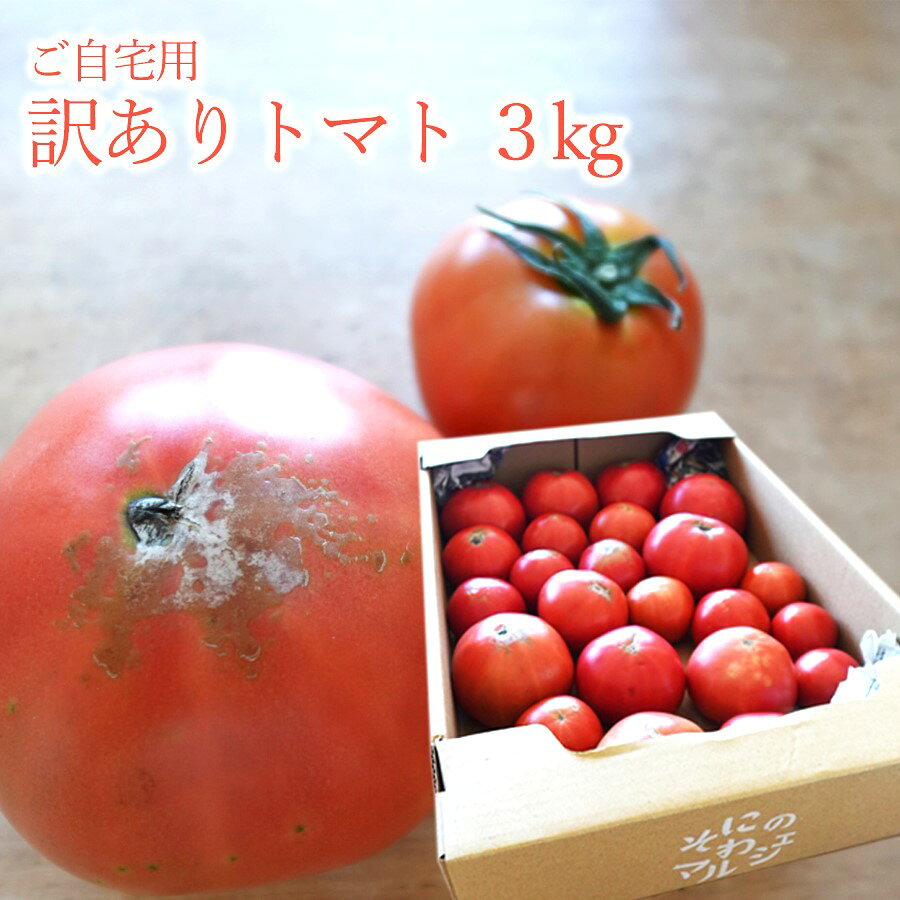 曽爾村特産の高原トマトがふるさと納税に復活！ 標高は400〜600mあり、夏期でも比較的冷涼で昼夜の気温差が大きいことから、糖度の高いトマトが生産されています。甘みが強く食味が良いので多くの消費者から高い評価を受けています。 曽爾村特産トマ...