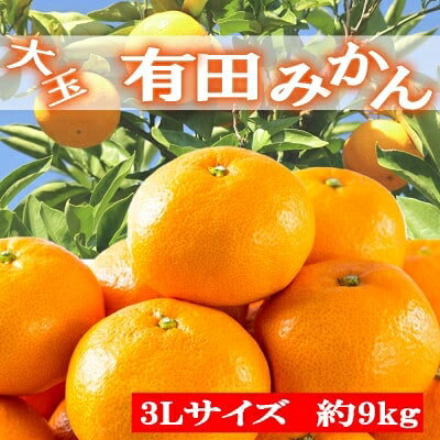 和歌山の有田地方は、温暖な気候と黒潮から吹く潮風にも恵まれ、品質の良いみかんを作る産地として有名です。 段々畑や水はけのよい畑などで、太陽をいっぱい浴びて育つ「有田みかん」は、甘くて美味しいみかんのブランドとして多くの方に支持されております...