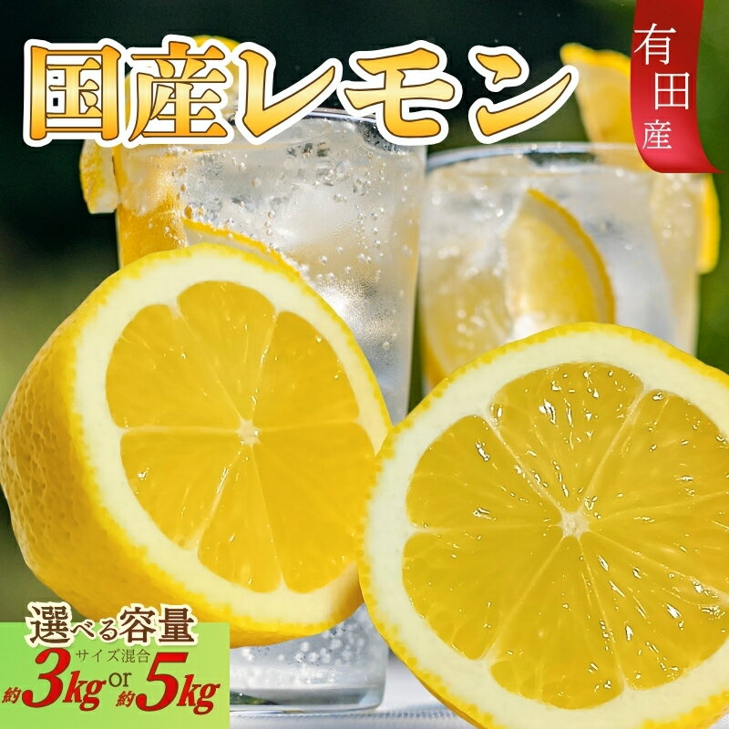・ふるさと納税よくある質問はこちら ・寄付申込みのキャンセル、返礼品の変更・返品はできません。あらかじめご了承ください。 ・ご要望を備考に記載いただいてもこちらでは対応いたしかねますので、何卒ご了承くださいませ。 ・寄付回数の制限は設けてお...