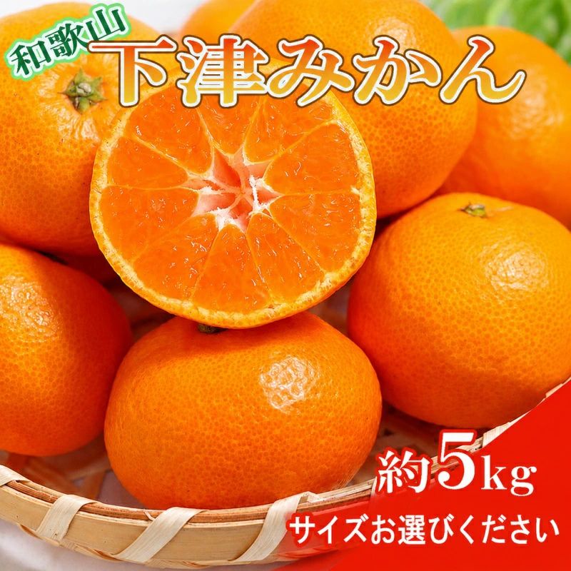 商品詳細 名称： 【産直】和歌山下津早生みかん 内容量： 1箱約5kg（SまたはMサイズのいずれかのお届け） / 1箱約5kg（MまたはLサイズのいずれかのお届け） 配送時期 2026年11月中旬～2027年1月中旬頃発送予定 賞味期限： ...
