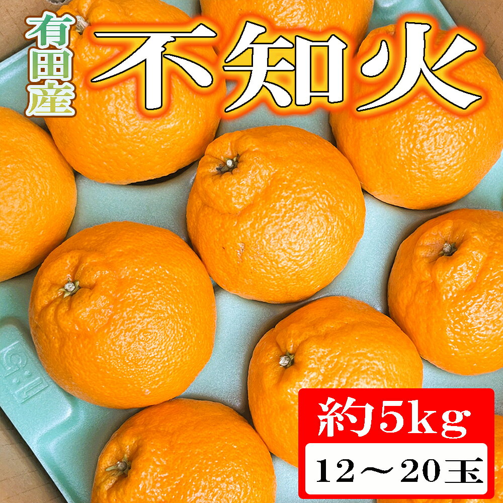 「清見」と「ポンカン」の掛け合わせで生まれた、食べやすいので、幅広い年齢層に支持されている春柑橘です。 濃厚な甘味がありながら、甘味と酸味のバランスが絶妙で、また、ずっしりと詰まったプリプリ果肉は、爽やかでジューシーな味わいです。 和歌山の...