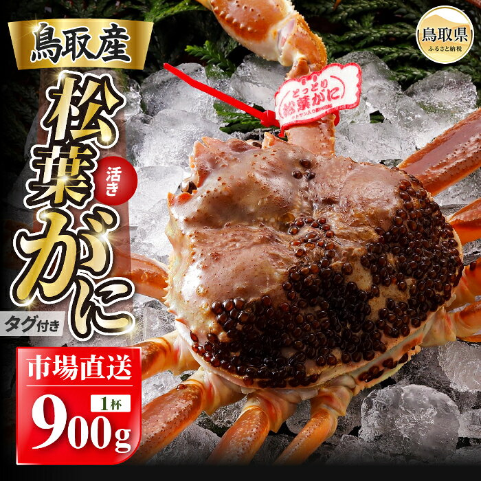 新鮮活がに出荷日本一の鳥取県では、活魚水槽を整備した大型底びき船で漁獲しているため活きがにのまま流通が可能です。松葉がにの特徴はジューシーな蟹身と豊かな甘みです。新鮮で美味しい松葉がにがお届けできるのは鳥取県だからこそ。是非ご堪能下さい。 ...