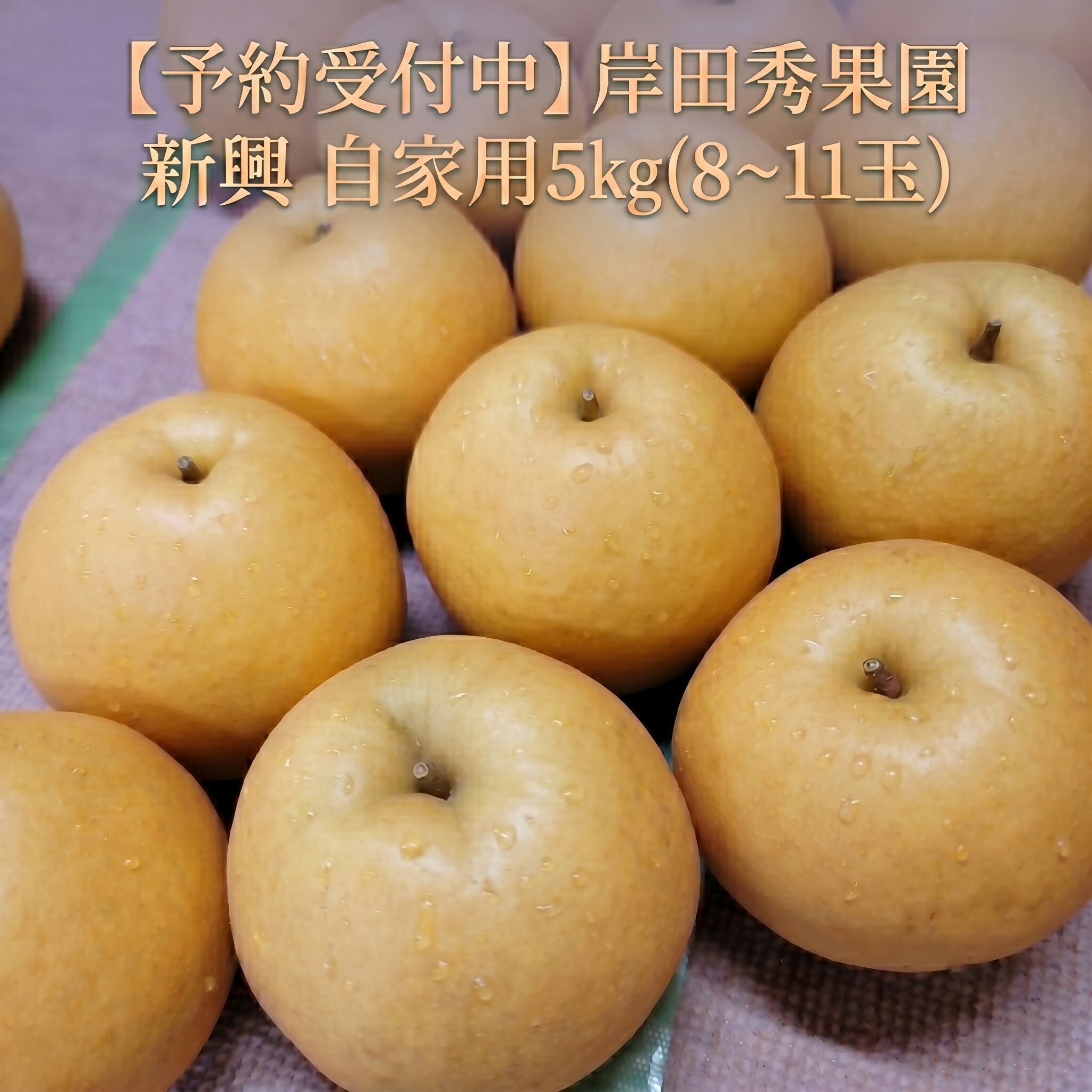 商品情報内容量新興 自家用 5kg(8～11玉)アレルギー表示なし提供事業者株式会社やまのおかげ屋申込期日～2026年10月5日までお申し込み時の注意事項※天候や収穫状況により、お届けが前後したり規格が変更になる場合がございます。※最適な時...