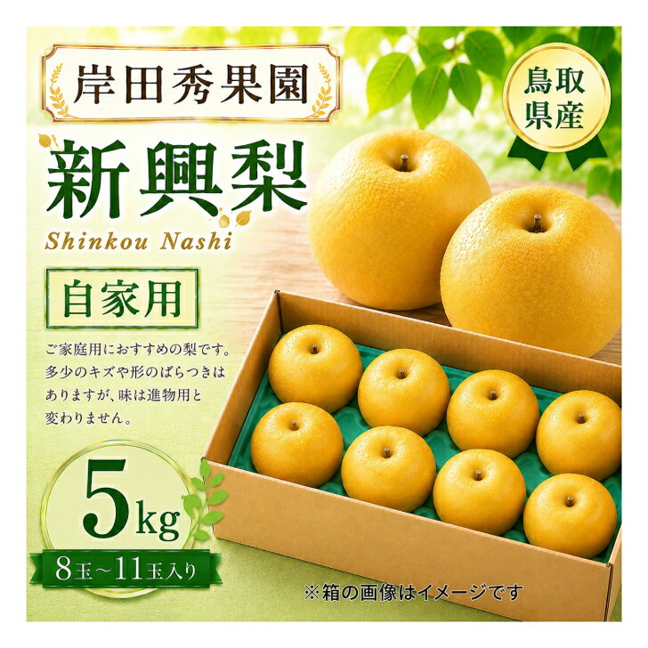 商品情報内容量新興 自家用 5kg(8～11玉)アレルギー表示なし提供事業者株式会社やまのおかげ屋申込期日～2026年10月5日までお申し込み時の注意事項※天候や収穫状況により、お届けが前後したり規格が変更になる場合がございます。※最適な時...