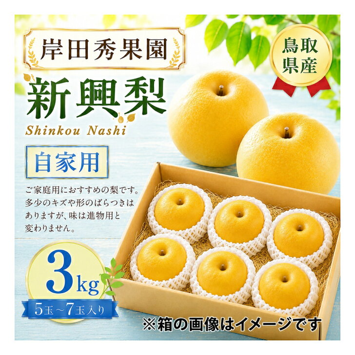 商品情報内容量新興 自家用 3kg (5～7玉)アレルギー表示なし提供事業者株式会社やまのおかげ屋申込期日～2026年10月5日までお申し込み時の注意事項※天候や収穫状況により、お届けが前後したり規格が変更になる場合がございます。※最適な時...