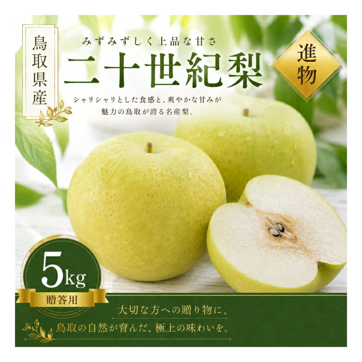 商品情報内容量二十世紀 進物 5kg(10～18玉)アレルギー表示なし提供事業者株式会社やまのおかげ屋申込期日～2026年9月5日までお申し込み時の注意事項※天候や収穫状況により、お届けが前後したり規格が変更になる場合がございます。※最適な...