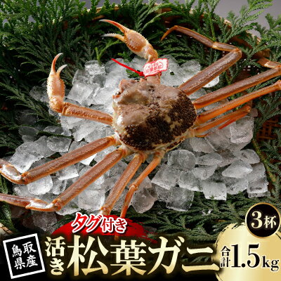 名称 【先行予約】鳥取県産 タグ付き 活 松葉がに 500g×3杯(中村商店)2026年11月発送 保存方法 冷蔵 発送時期 2026-11-01から順次発送 ※2026-11-01以降のお申し込みは1週間程度で順次発送予定 提供元 株式会...