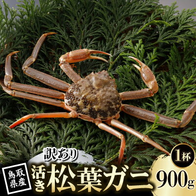 名称 【先行予約】鳥取県産 訳あり 活 松葉がに 900g×1杯(中村商店)2026年11月発送 保存方法 冷蔵 発送時期 2026-11-01から順次発送 ※2026-11-01以降のお申し込みは1週間程度で順次発送予定 提供元 株式会社...