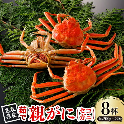 名称 【先行予約】鳥取県産 茹 親がに(セコガニ)200～230g×8杯 2026年11月発送 保存方法 冷蔵 発送時期 2026-11-01から順次発送 ※2026-11-01以降のお申し込みは1週間程度で順次発送予定 提供元 株式会社中...