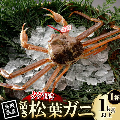 名称 【先行予約】鳥取県産 タグ付き 活松葉がに 1kg以上×1杯(中村商店)26年12月・27年1月発送 保存方法 冷蔵 発送時期 2026-12-01から順次発送 ※2026-12-01以降のお申し込みは1週間程度で順次発送予定 提供元...