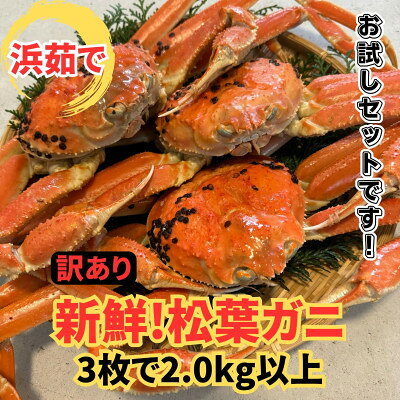 名称 【さかなや新鮮組】鳥取県産 訳あり 浜茹で 松葉ガニ2.0kgセット ご家庭用 漁港直送 保存方法 冷蔵 発送時期 2026/11/08から順次発送 ※2026/11/08以降のお申し込みは1～2週間程度で順次発送 提供元 さかなや新...