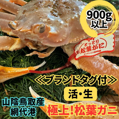 名称 【さかなや新鮮組】鳥取県産 ブランドタグ付き 活 極上松葉ガニ(900g以上) 1枚 漁港直送 保存方法 冷蔵 発送時期 2026/11/08から順次発送 ※2026/11/08以降のお申し込みは1～2週間程度で順次発送 提供元 さか...