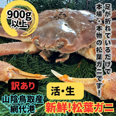 名称 【さかなや新鮮組】鳥取県産 訳あり 活松葉ガニ(900g以上) 1枚 漁港直送 保存方法 冷蔵 発送時期 2026/11/08から順次発送 ※2026/11/08以降のお申し込みは1～2週間程度で順次発送 提供元 さかなや新鮮組（智頭...