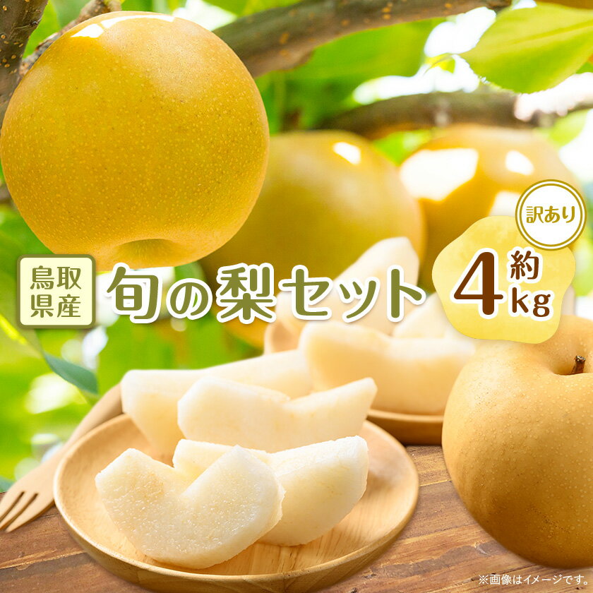 名称 【訳あり】鳥取県産旬の梨セット 4kg 保存方法 常温 発送時期 2026-08-25～2026-12-20 提供元 高間商店　本社（智頭町） 配達外のエリア 離島、北海道、沖縄県 お礼品の特徴 鳥取の梨を詰め合わせにしたセットです。...