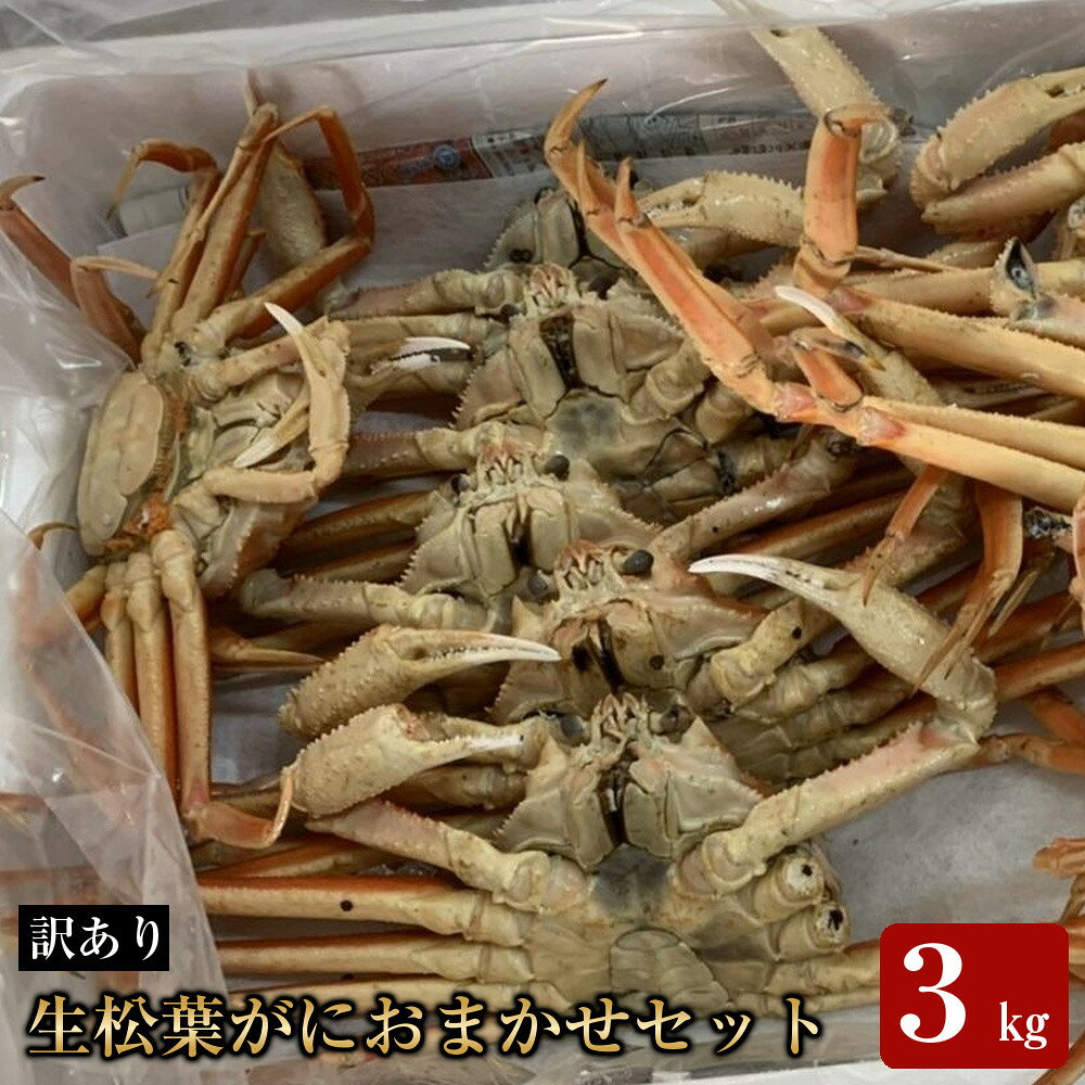・ふるさと納税よくある質問はこちら ・寄付申込みのキャンセル、返礼品の変更・返品はできません。あらかじめご了承ください。 ・ご要望を備考に記載頂いてもこちらでは対応いたしかねますので、何卒ご了承くださいませ。 ・寄付回数の制限は設けておりま...