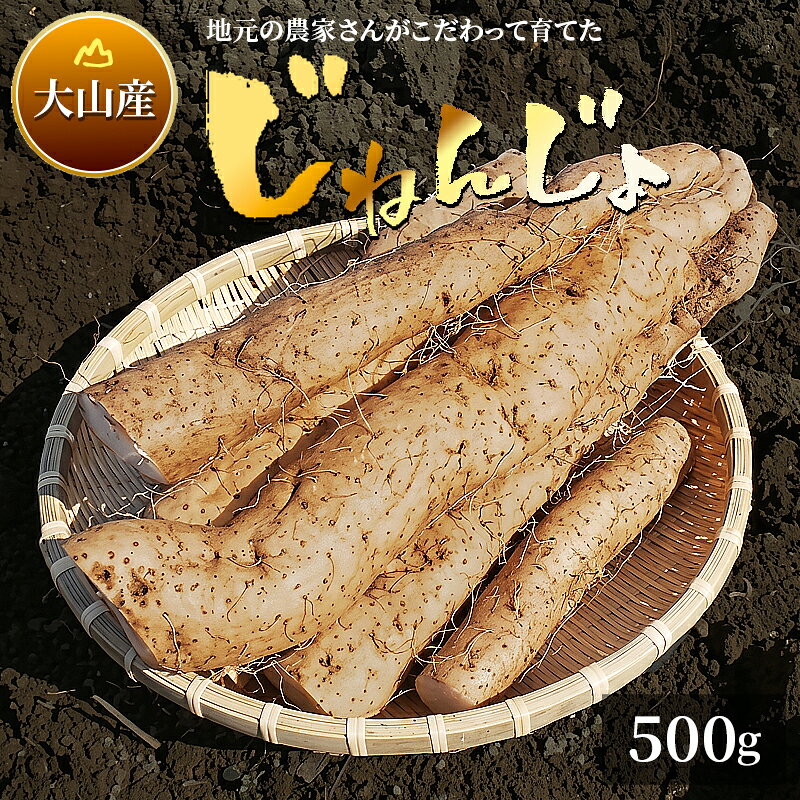 ・ふるさと納税よくある質問はこちら ・寄附申込みのキャンセル、返礼品の変更・返品はできません。あらかじめご了承ください。 返礼品説明 品名 大山産自然薯 内容量 500g 発送方法 冷蔵 申込期間 通年 配送時期 11月〜3月 入金から1か...