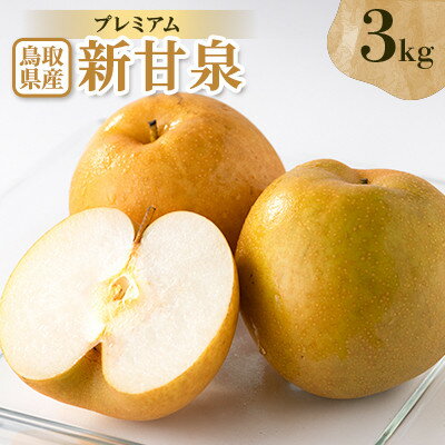名称 プレミアム新甘泉 3kg 保存方法 常温 発送時期 2026/08/22～2026/09/20 提供元 高間商店　本社（伯耆町） 配達外のエリア 離島、北海道、沖縄県 お礼品の特徴 とにかく甘い梨がお好きな方におススメなのがこの新甘泉...