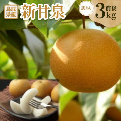 名称 訳あり　新甘泉(しんかんせん)　3kg前後 保存方法 常温 発送時期 2026/08/22～2026/09/20 提供元 高間商店　本社（伯耆町） 配達外のエリア 離島、北海道、沖縄県 お礼品の特徴 とにかく甘い梨がお好きな方におスス...
