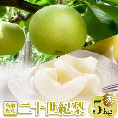 名称 二十世紀梨 秀5kg 保存方法 常温 発送時期 2026/08/25～2026/09/30 提供元 高間商店　本社（伯耆町） 配達外のエリア 離島、北海道、沖縄県 お礼品の特徴 シャリッとした心地よい歯ごたえと清涼感のある甘い果汁が人...