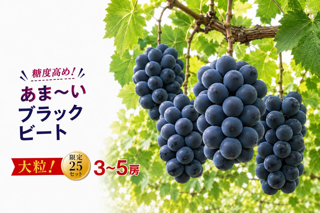 商品情報名称ブラックビート産地名国内産(岡山県和気町産)内容量約2kg（3〜5房）配送について9月上旬に収穫を行い発送準備ができ次第、順次発送となります。提供福原農園【ふるさと納税】 ブラックビート 3〜5房 約2kg 甘い 贈答 ギフト ...