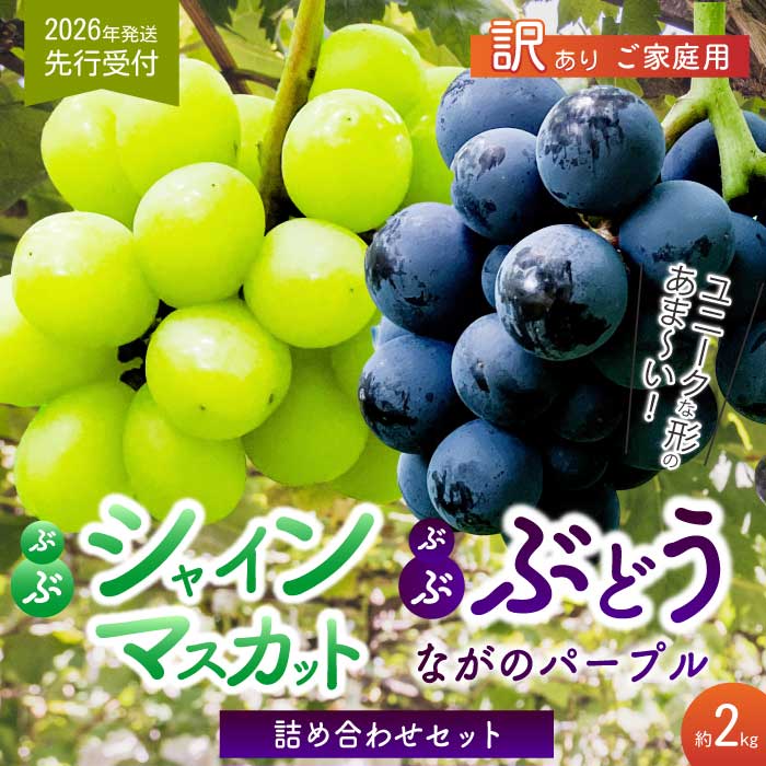 名称 《2026年夏頃発送・先行受付》【ひのきファームランド】訳あり ぶぶぶどう詰め合わせ2kg ブブシャインマスカット 1kg ブブナガノパープル 1kg ぶどう マスカット 果物 フルーツ 233003 商品内容 【ぶぶぶどう詰め合わせ...