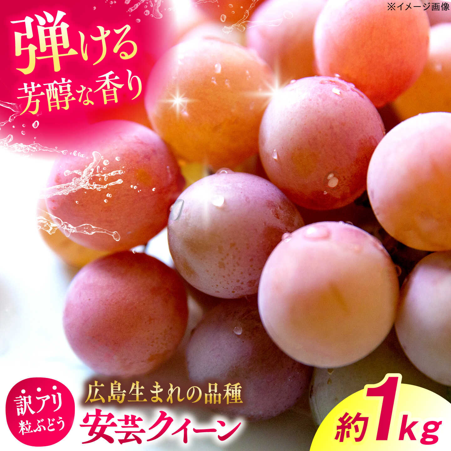 商品関連ワード ぶどう ブドウ 葡萄 フルーツ 果物 訳あり デザート 広島産 広島県 三次市 産地直送 家庭用 1キロ 甘い デザート 特別な記念日に お正月 賀正 新年 新春 初売り 年賀 成人式 成人祝 節分 バレンタイン ひな祭り ...