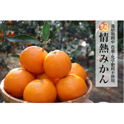 名称 【2026年5月より受付開始】徳島県阿南市産みかん5kg 栽培期間中農薬・化学肥料不使用　不揃い 保存方法 常温 発送時期 2026/11/25～2026-12-23 提供元 株式会社情熱カンパニー 配達外のエリア なし お礼品の特徴...