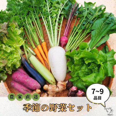 名称 【農家直送】なるべく自然に近い環境で栽培した「季節のおまかせ野菜セット』(7～9品) 保存方法 冷蔵 発送時期 2026-02-02～2027-01-08 提供元 森ねずみの畑　トトファーム 配達外のエリア 離島 お礼品の特徴 徳島県...