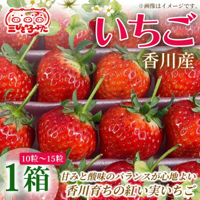 名称 【甘酸バランス抜群】香川産特選大粒いちごで春の味覚を満喫　いちご(10粒～15粒)1箱 保存方法 冷蔵 発送時期 2027-01-01～2027-04-15 提供元 株式会社丸新果物商店 配達外のエリア 離島、北海道、沖縄県 お礼品の...