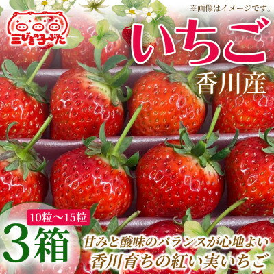 名称 【甘酸バランス抜群】香川産特選大粒いちごで春の味覚を満喫　いちご(10粒～15粒)3箱 保存方法 冷蔵 発送時期 2027-01-01～2027-04-15 提供元 株式会社丸新果物商店 配達外のエリア 離島、北海道、沖縄県 お礼品の...
