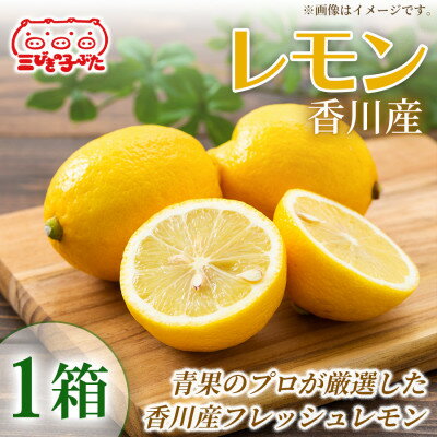 名称 【爽やかな香り】香川産フレッシュレモンで料理やドリンクに彩り レモン 1箱 保存方法 常温 発送時期 2027-01-01～2027-04-30 提供元 株式会社丸新果物商店 配達外のエリア なし お礼品の特徴 香川県の温暖な気候のも...