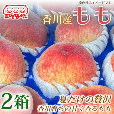 名称 【とろけるジューシー】香川産大玉ももで贅沢なひととき もも　2箱 保存方法 冷蔵 発送時期 2026/06/20～2026/08/10 提供元 株式会社丸新果物商店 配達外のエリア 離島、北海道、沖縄県 お礼品の特徴 夏の限られた時期...