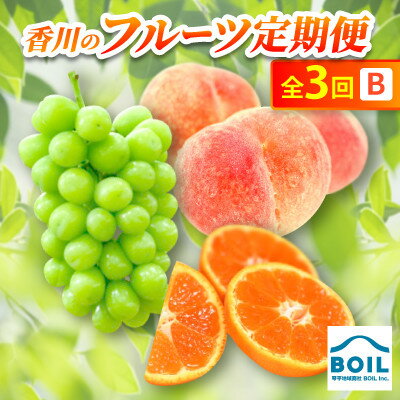 名称 【発送月固定定期便】香川のフルーツ(3B)全3回 保存方法 冷蔵 発送時期 【1回目】発送月の前月20日までのお支払いで発送月上旬より順次発送【2回目以降】発送月上旬より順次発送 提供元 地域商社BOIL．Inc 配達外のエリア 離島...