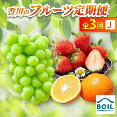 名称 【発送月固定定期便】香川のフルーツ(3J)全3回 保存方法 冷蔵 発送時期 【1回目】発送月の前月20日までのお支払いで発送月上旬より順次発送【2回目以降】発送月上旬より順次発送 提供元 地域商社BOIL．Inc 配達外のエリア 離島...