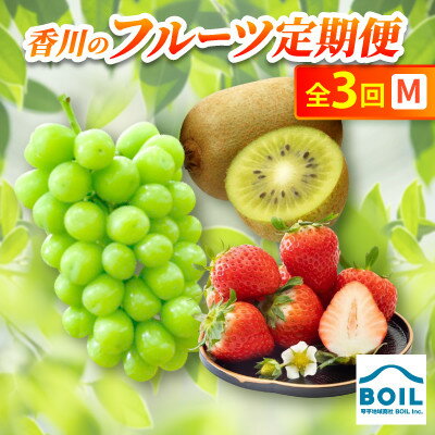 名称 【発送月固定定期便】香川のフルーツ(3M)全3回 保存方法 冷蔵 発送時期 【1回目】発送月の前月20日までのお支払いで発送月上旬より順次発送【2回目以降】発送月上旬より順次発送 提供元 地域商社BOIL．Inc 配達外のエリア 離島...
